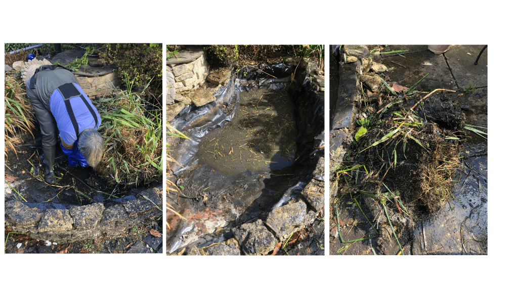 Overcoming the Monster - David West