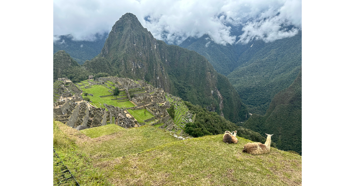 Inca Gold - David West